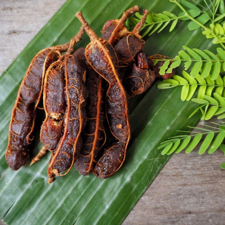 Tamarind Spice Exported from India