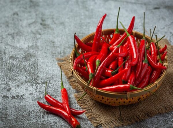 The Medicinal Uses of Red Chilli